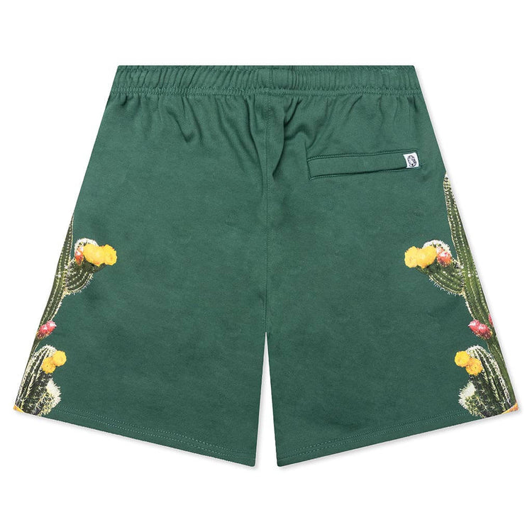 Cacti Short - Blue Spruce – Feature