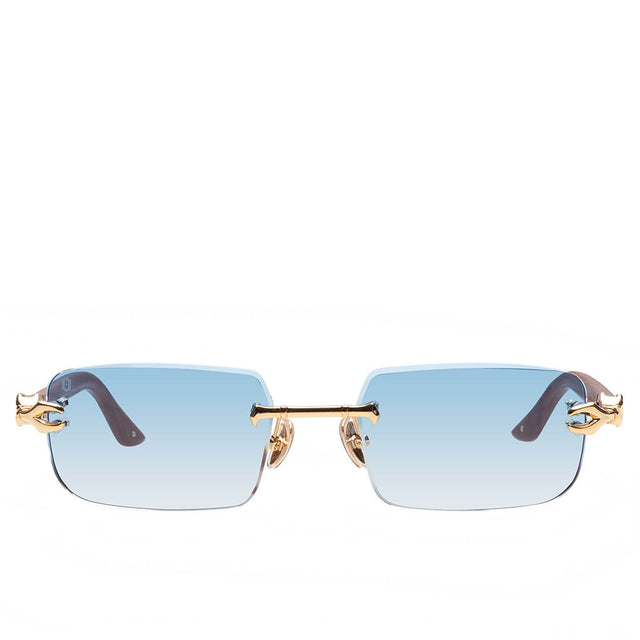 Hydra - Blue Tint – Feature