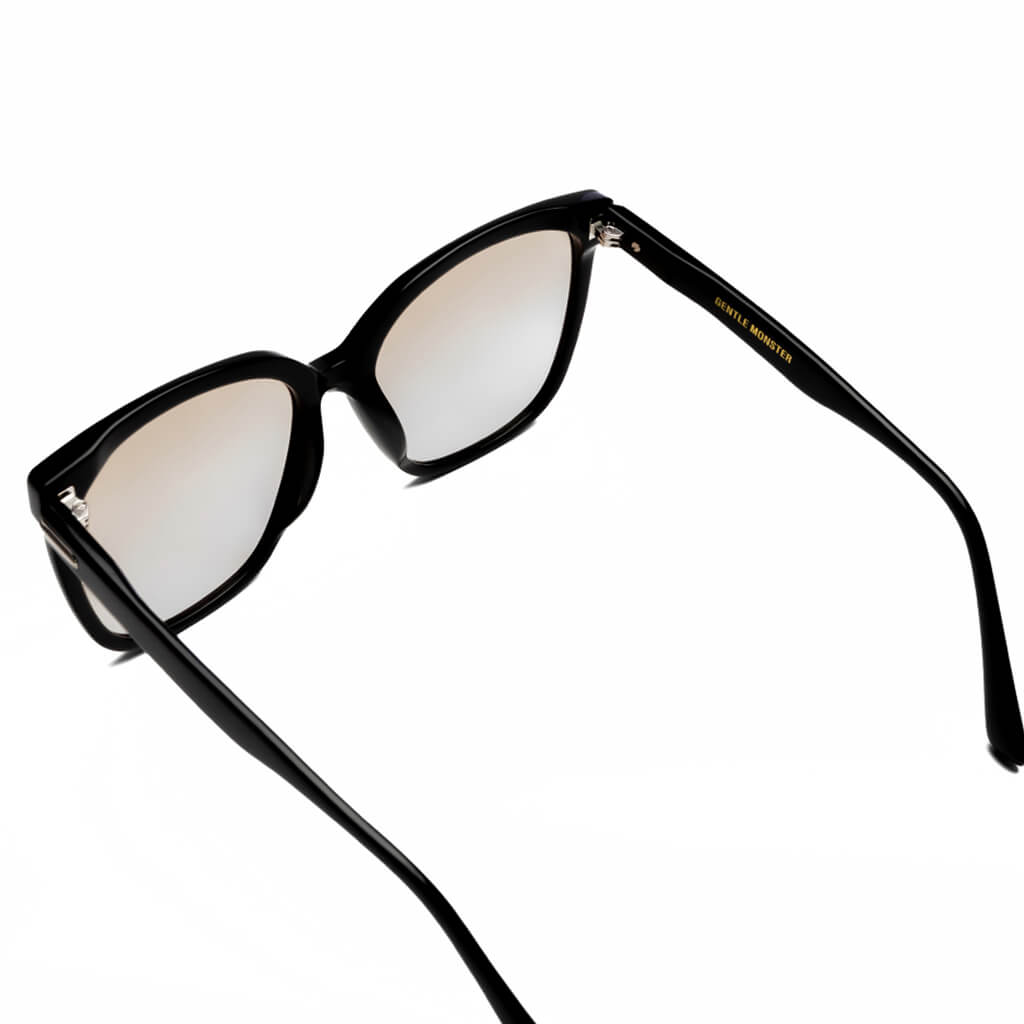 LAROSA 01(BRG) – Feature