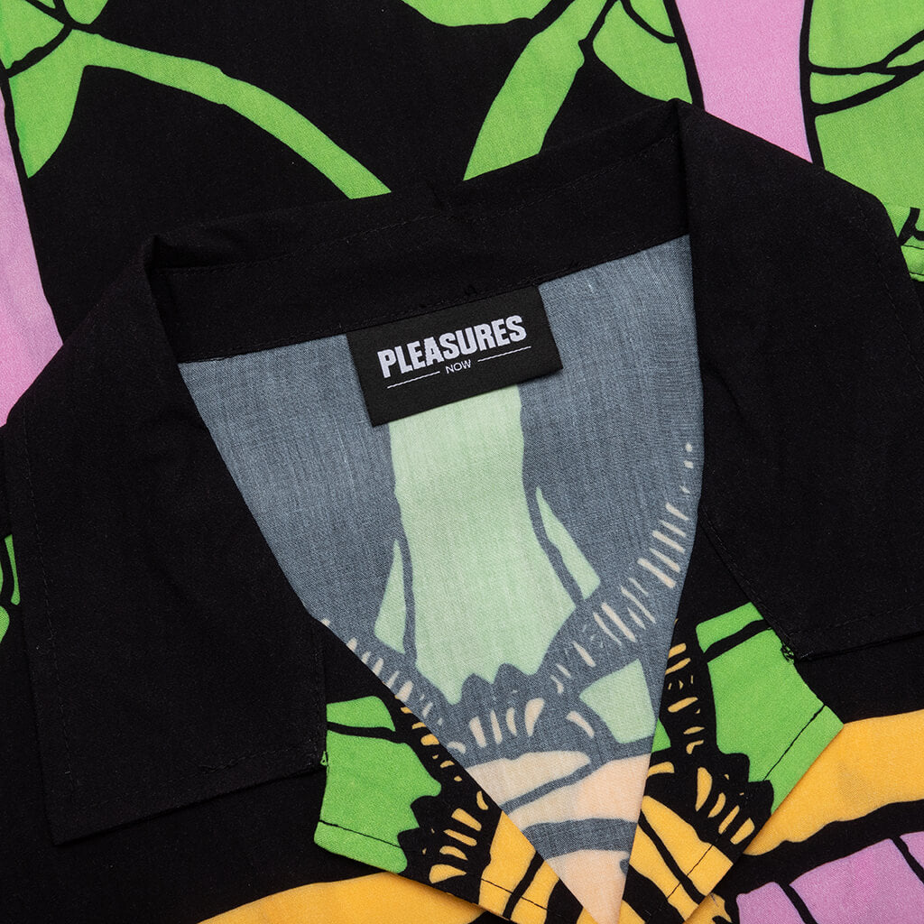 Moth Button Down - Multi – Feature