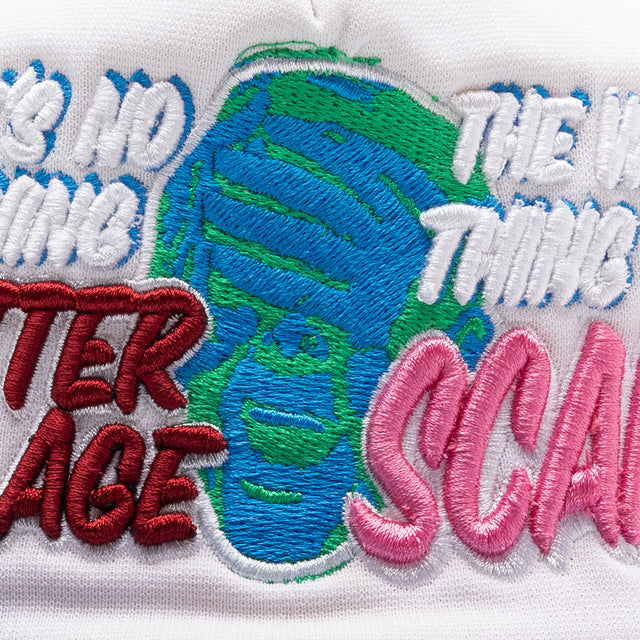 Scam Vintage Hat - Multi – Feature