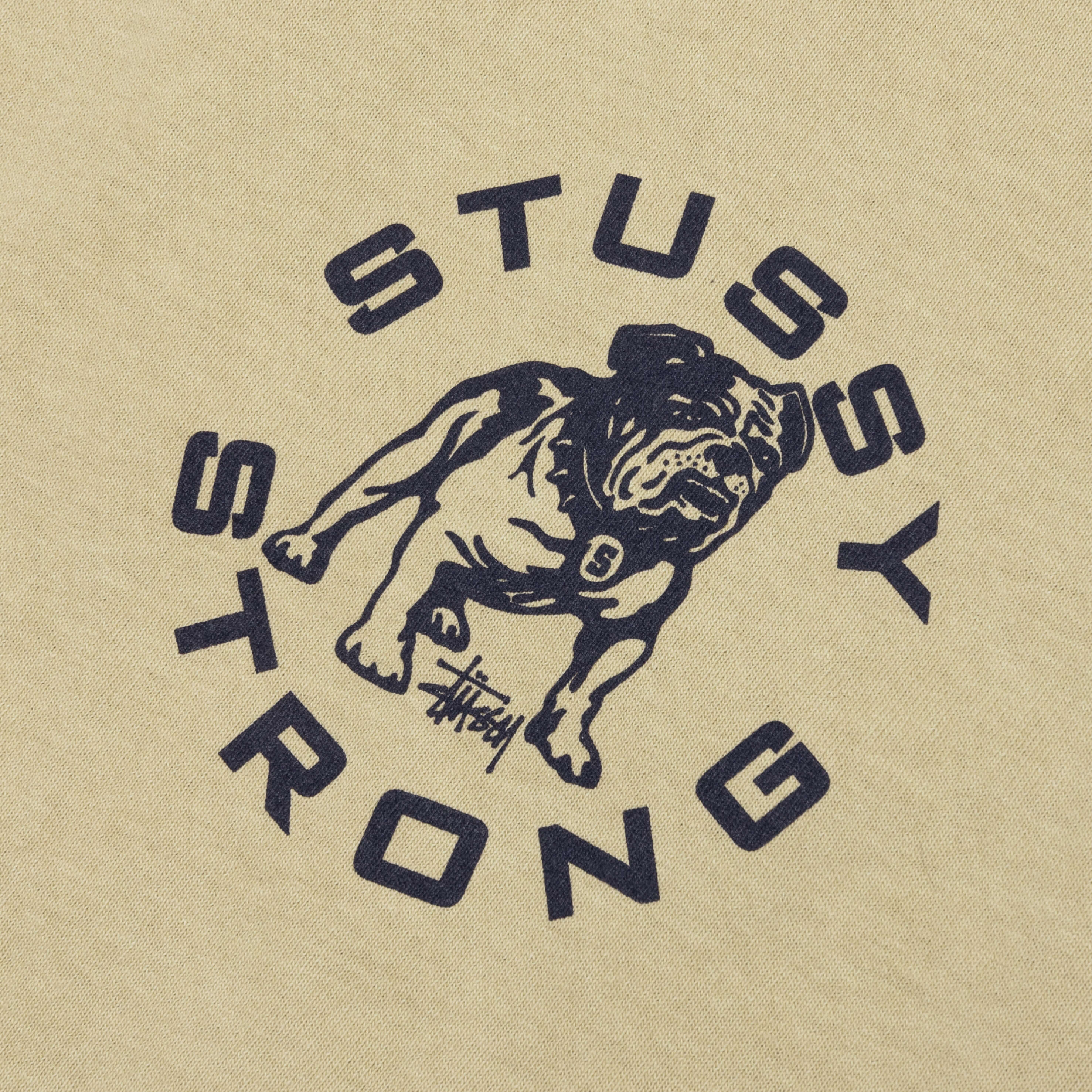 Strong Mac Pigmented Dyed Tee - Elm – Feature