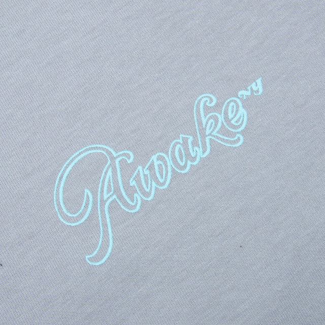 Awake Logo Tee - Grey – Feature