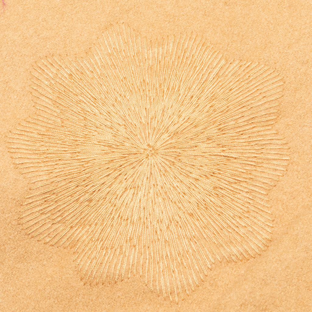 BB Starry Night Coat - Beige – Feature