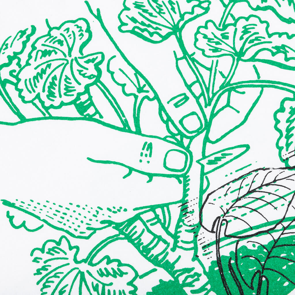 Herbal Healing Tee - White – Feature