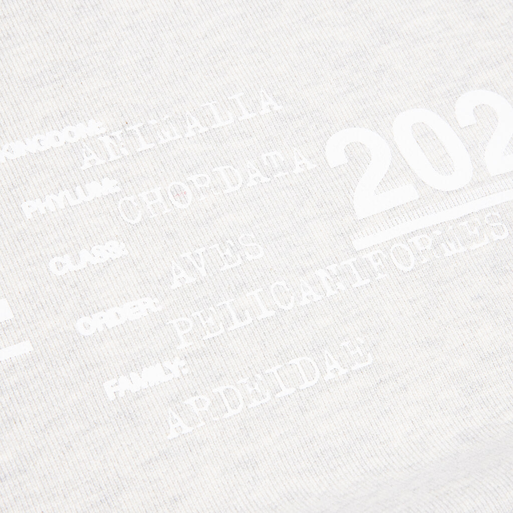 Heron Rainbow 크루넥 - 그레이 멜란지 – Feature