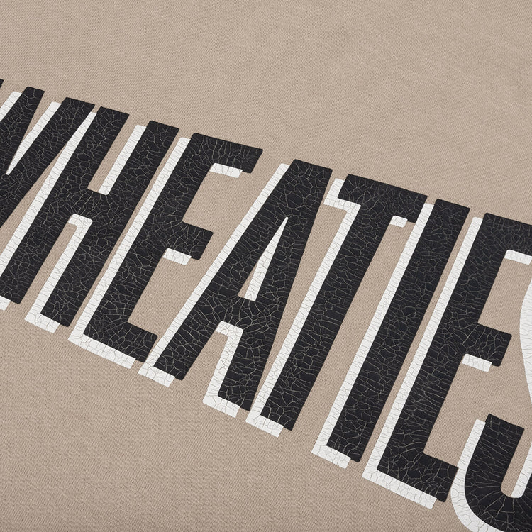 Flight MVP Fleece Pullover Hoodie - Desert – Feature