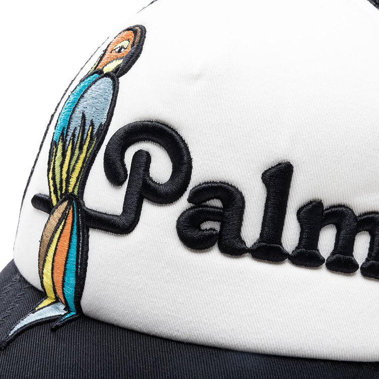 Parrot Cap - Black – Feature
