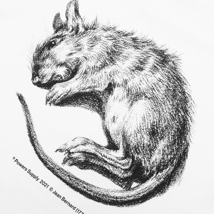 Vermin S/S Tee - White – Feature