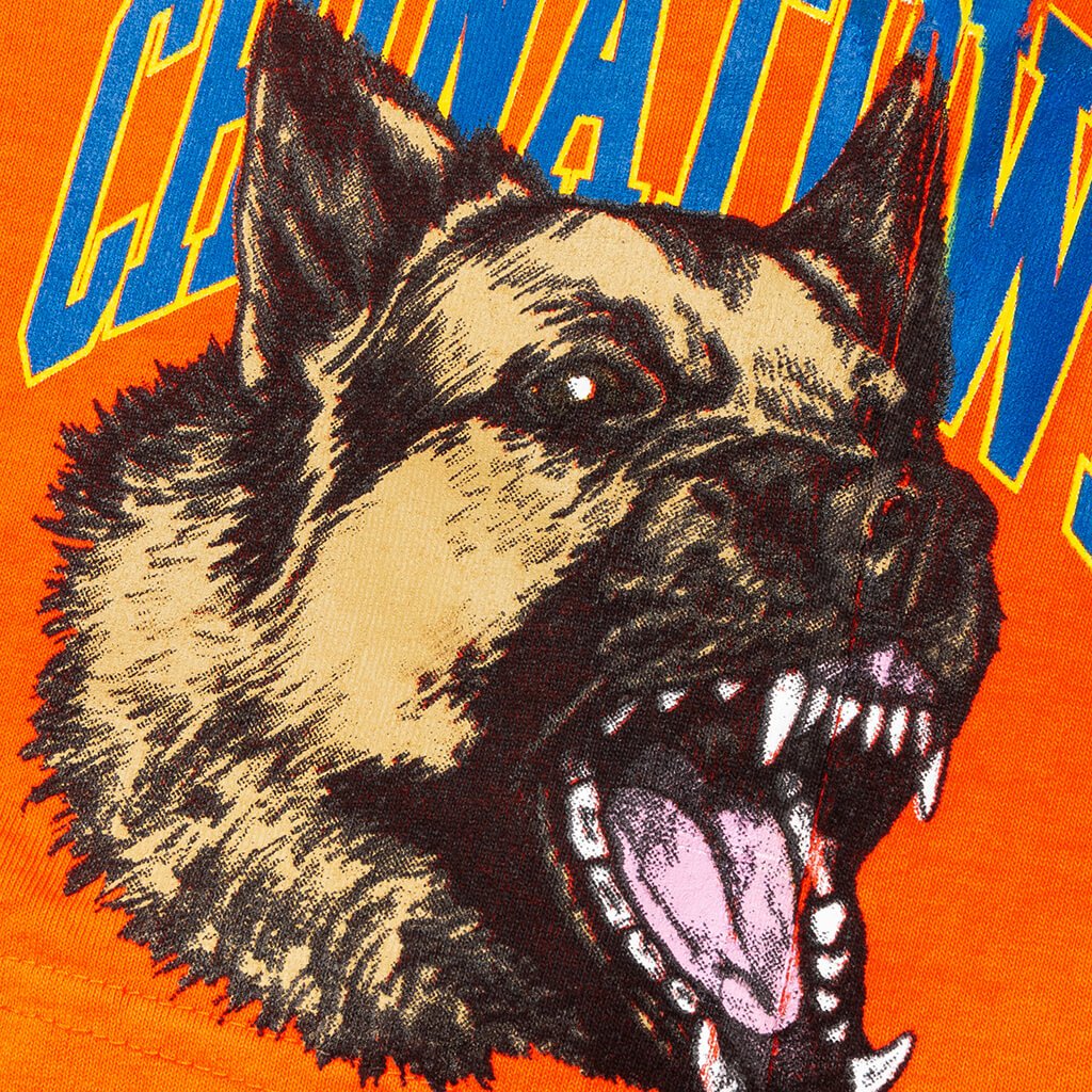 Chinatown Beware Sweatshort - Orange – Feature