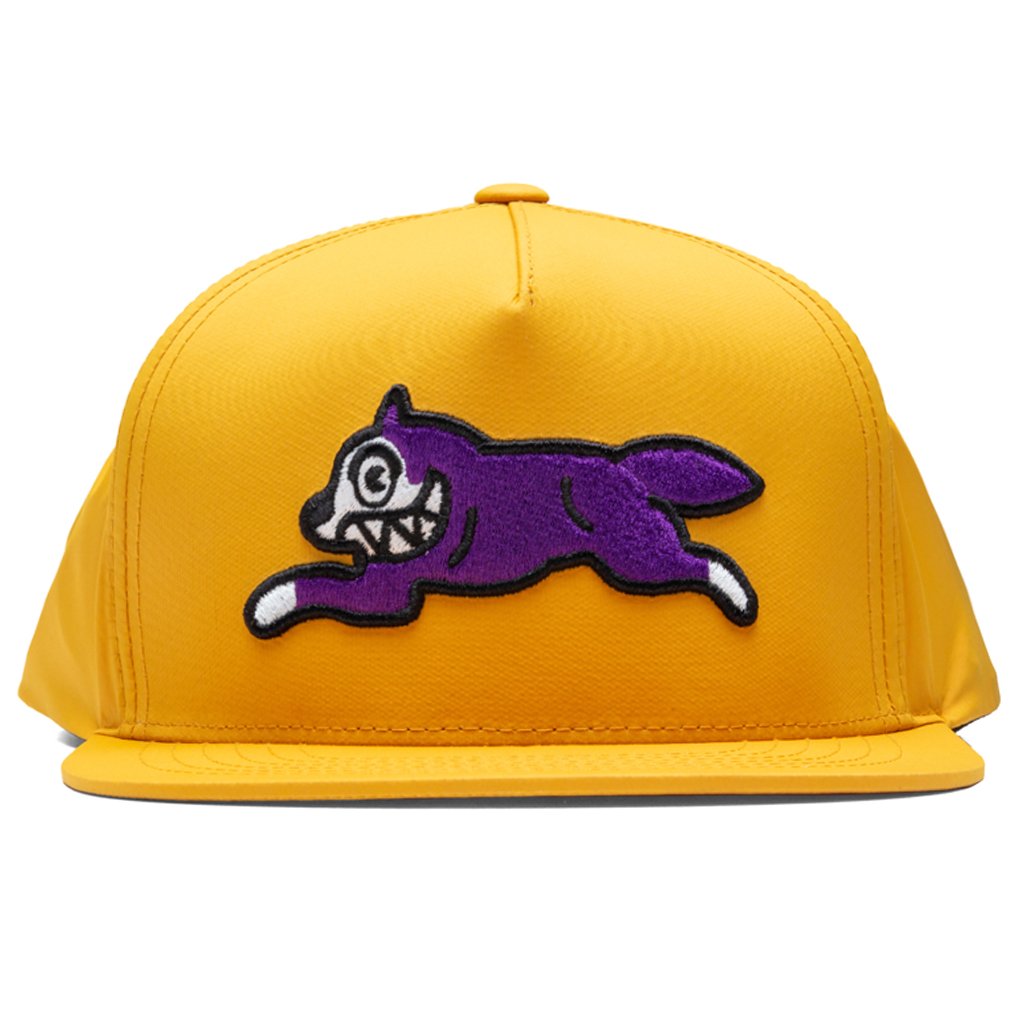 Ladd Snapback Hat - Sunflower – Feature