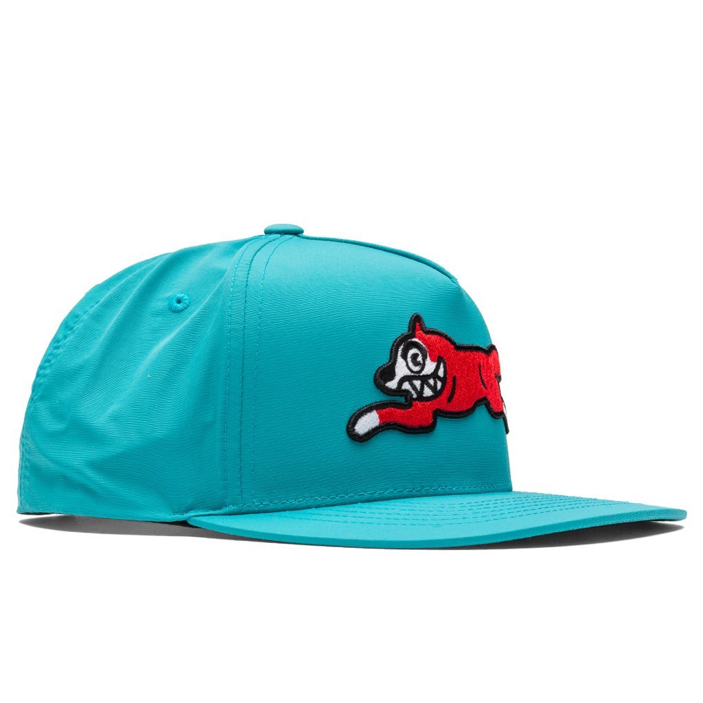 Ladd Snapback Hat - Teal – Feature