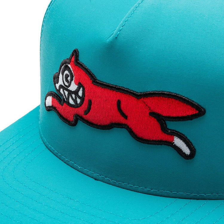 Ladd Snapback Hat - Teal – Feature